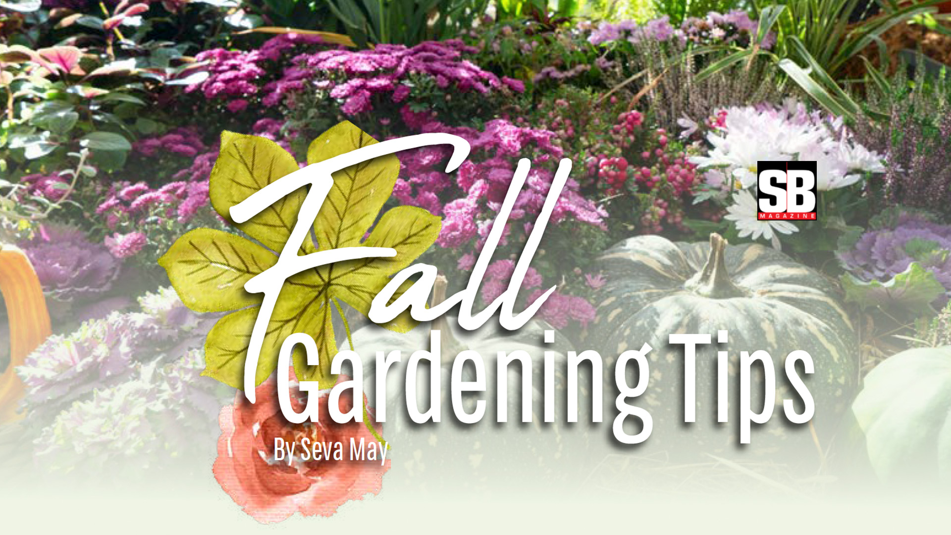 Fall Gardening Tips - SB Magazine